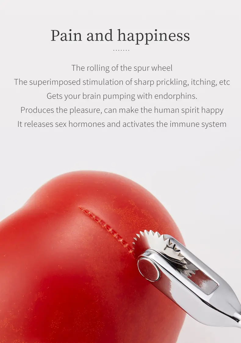 Roomfun | Cutlery Spur Wheel (ZW-055)